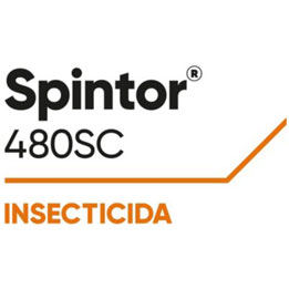 Spintor 480 SC | Insur Protección Vegetal