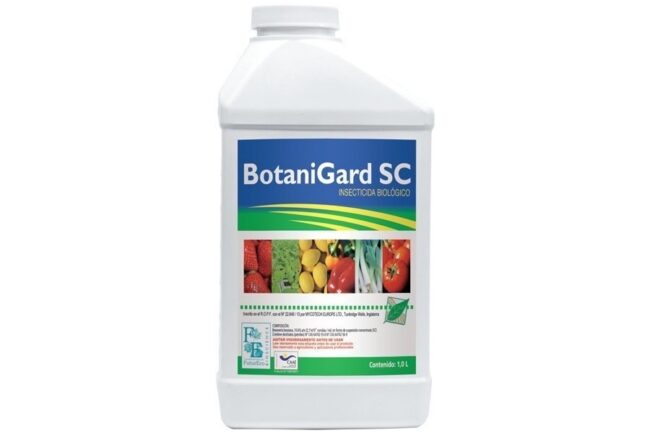 Botanigard | Insur Protección Vegetal